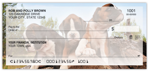 Boxer Personal Checks | Promise Checks